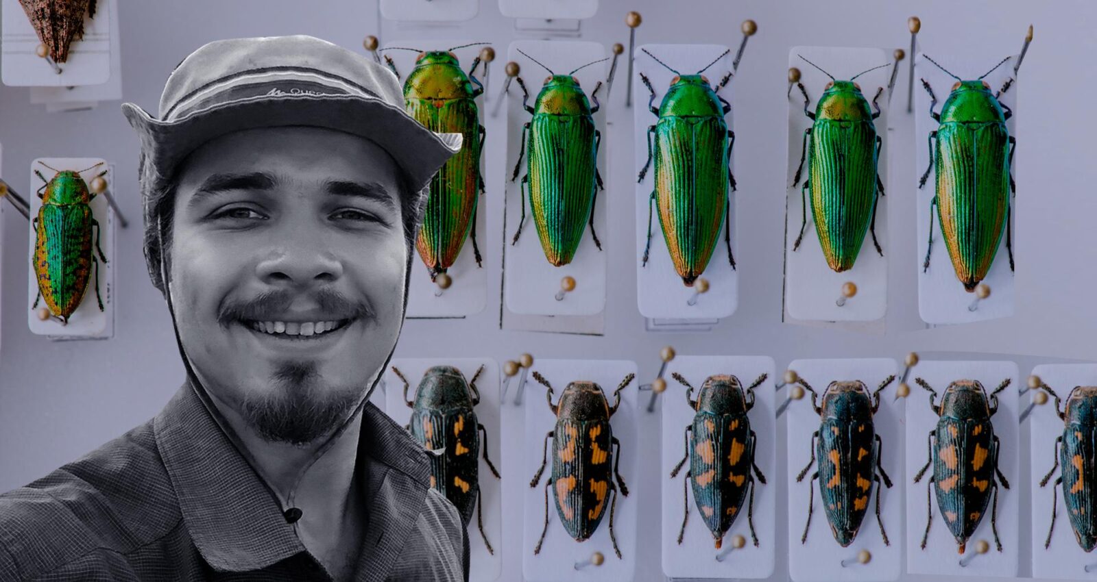 Осуждённый за сбор насекомых Александр Игнатенко освобожден из тюрьмы